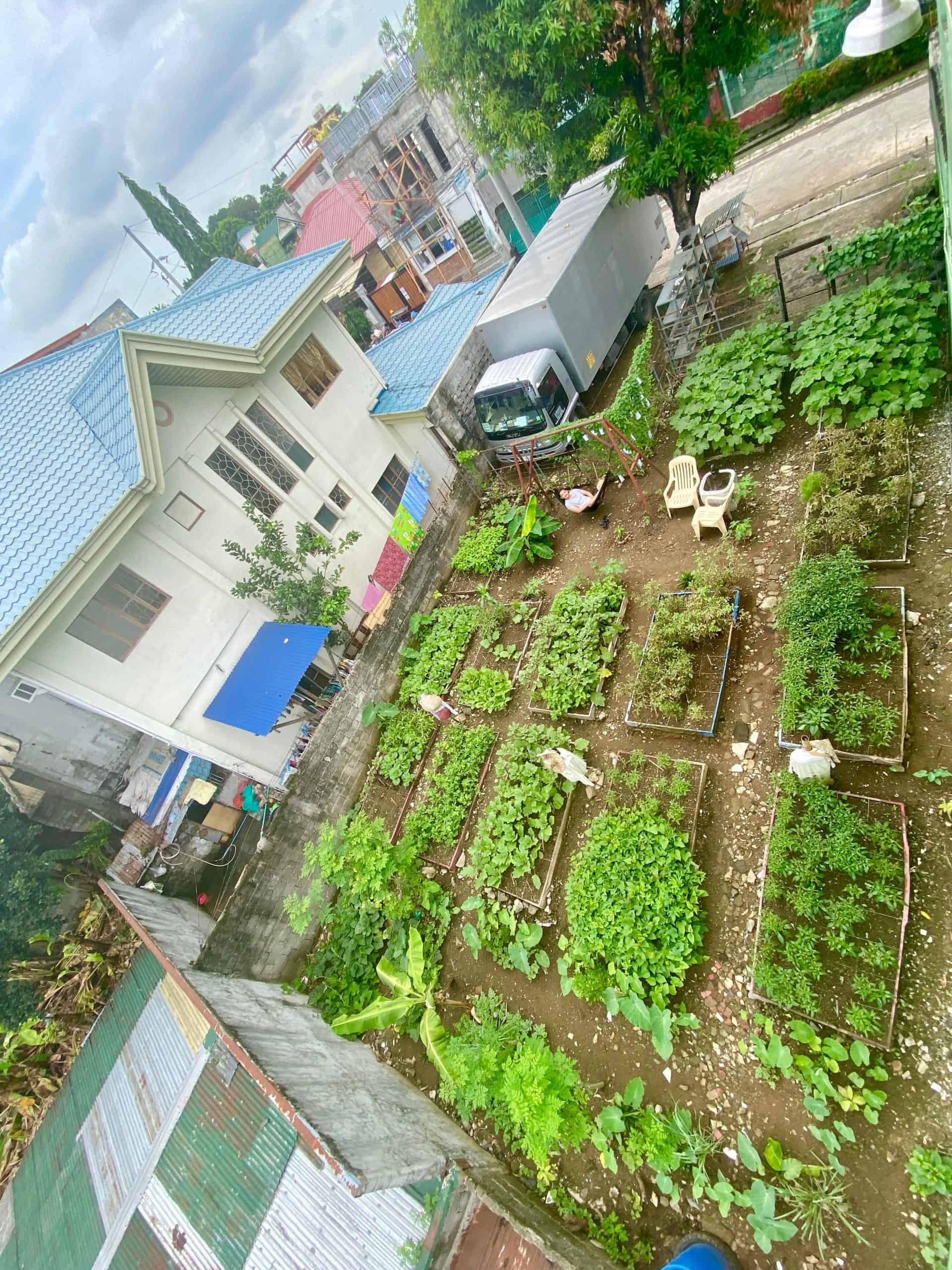 Urban farm brings out bayanihan spirit in this QC community - Latest Chika