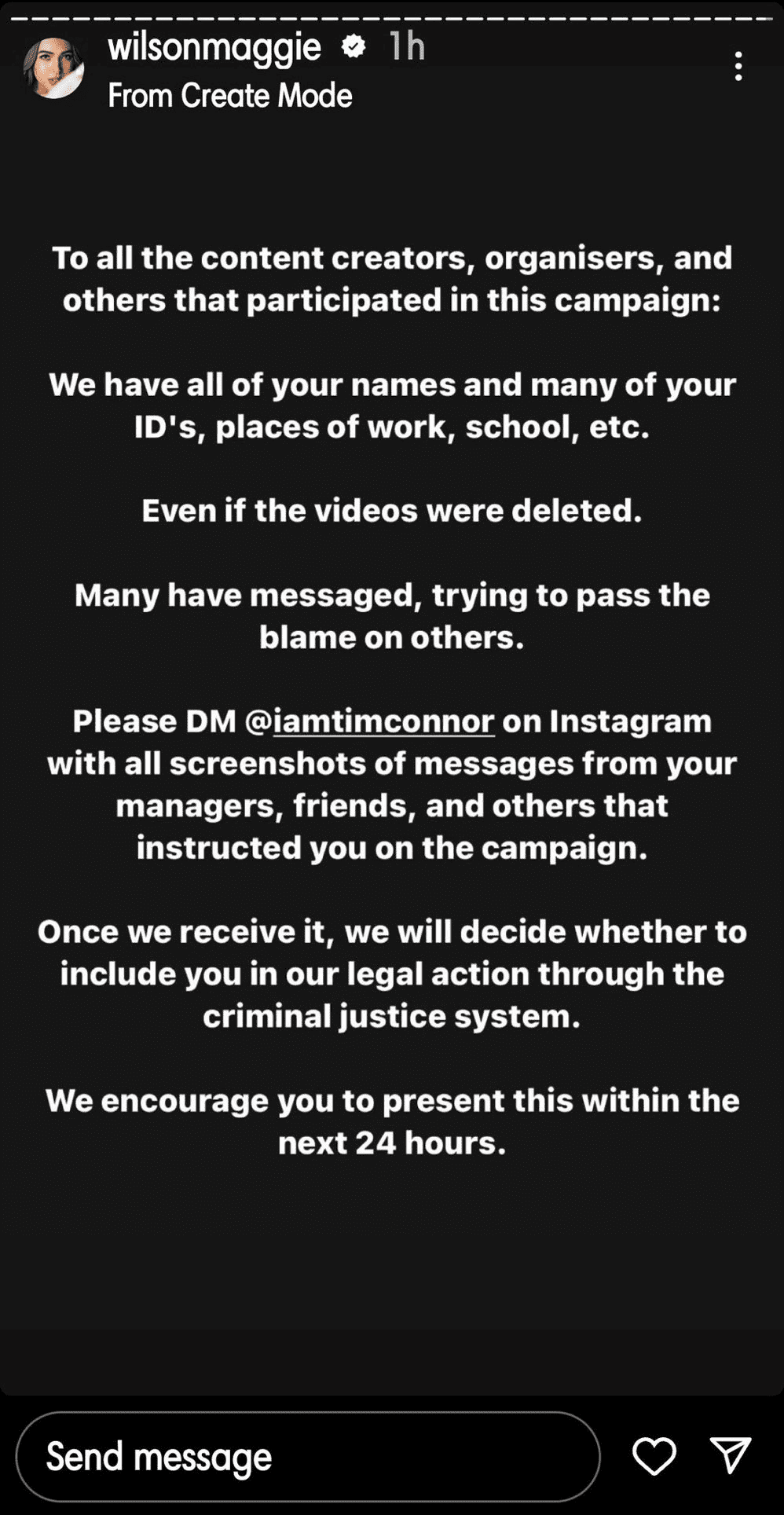 Maggie Wilson exposes TikTok influencers paid to malign her company ...